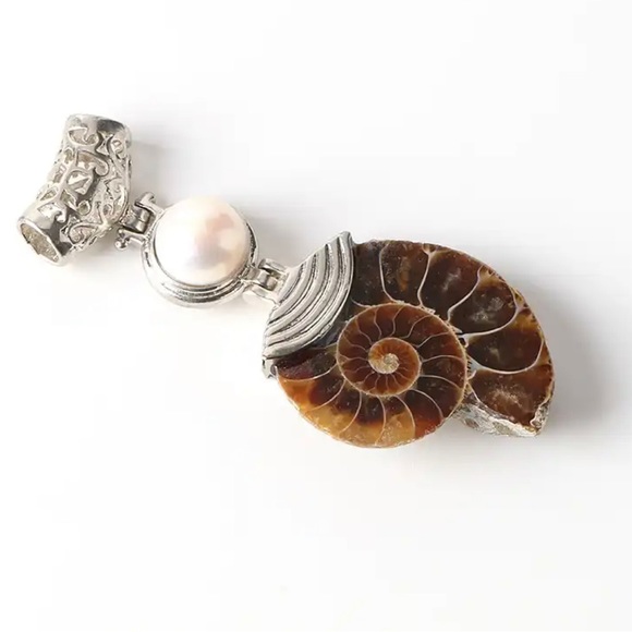 Grathia Cero | Jewelry | Natural Ammonite Half Cut Snail Shell Pendant ...